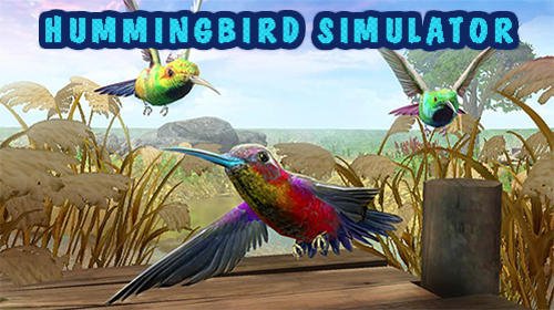 Hummingbird simulator 3D android game free download : Dertz