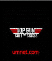 Top Gun 3 - Gulf Crisis 240x320 java game free download : Dertz